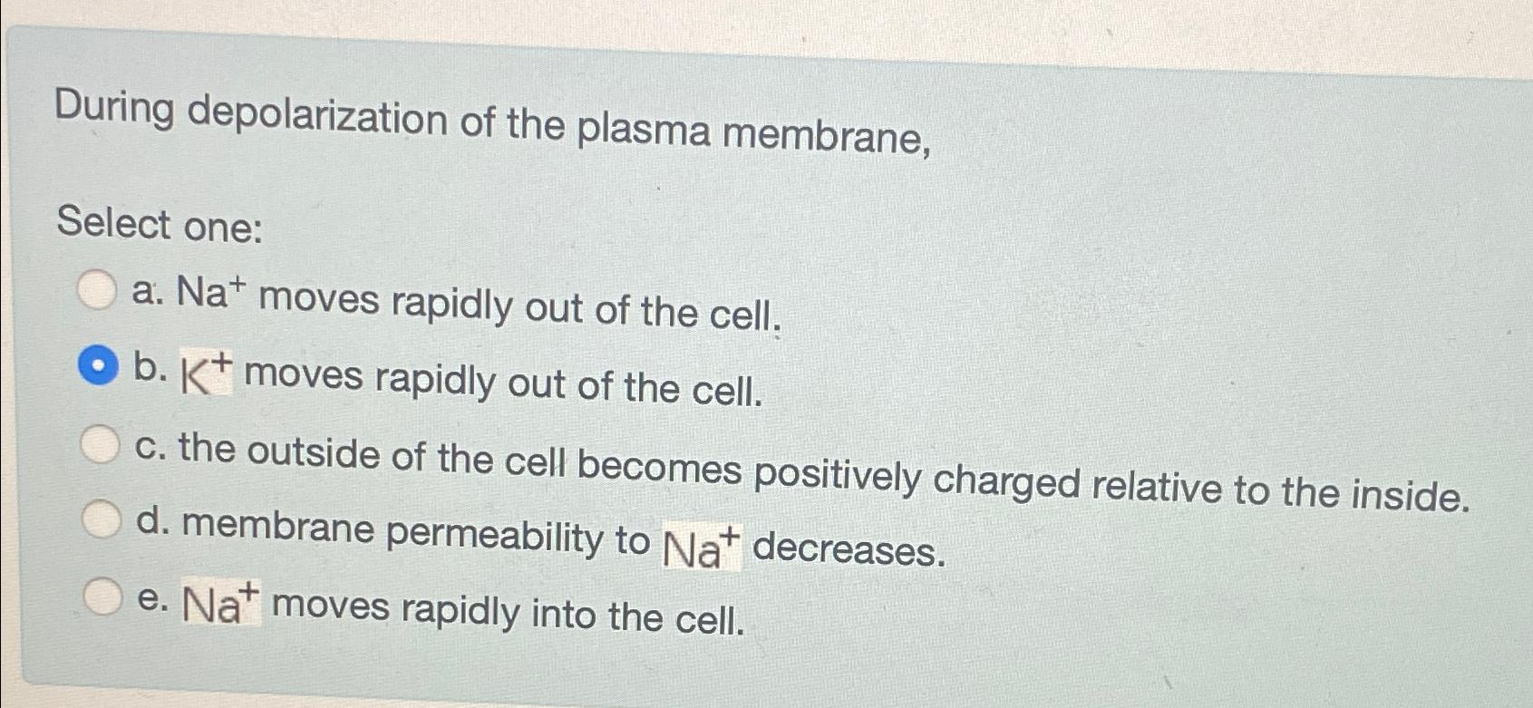 During depolarization of the plasma membrane,Select | Chegg.com