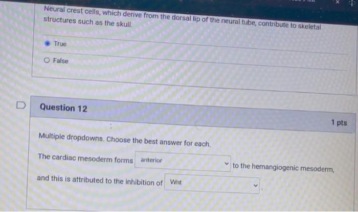 Solved Neural crest cells, which derive from the dorsal lip | Chegg.com