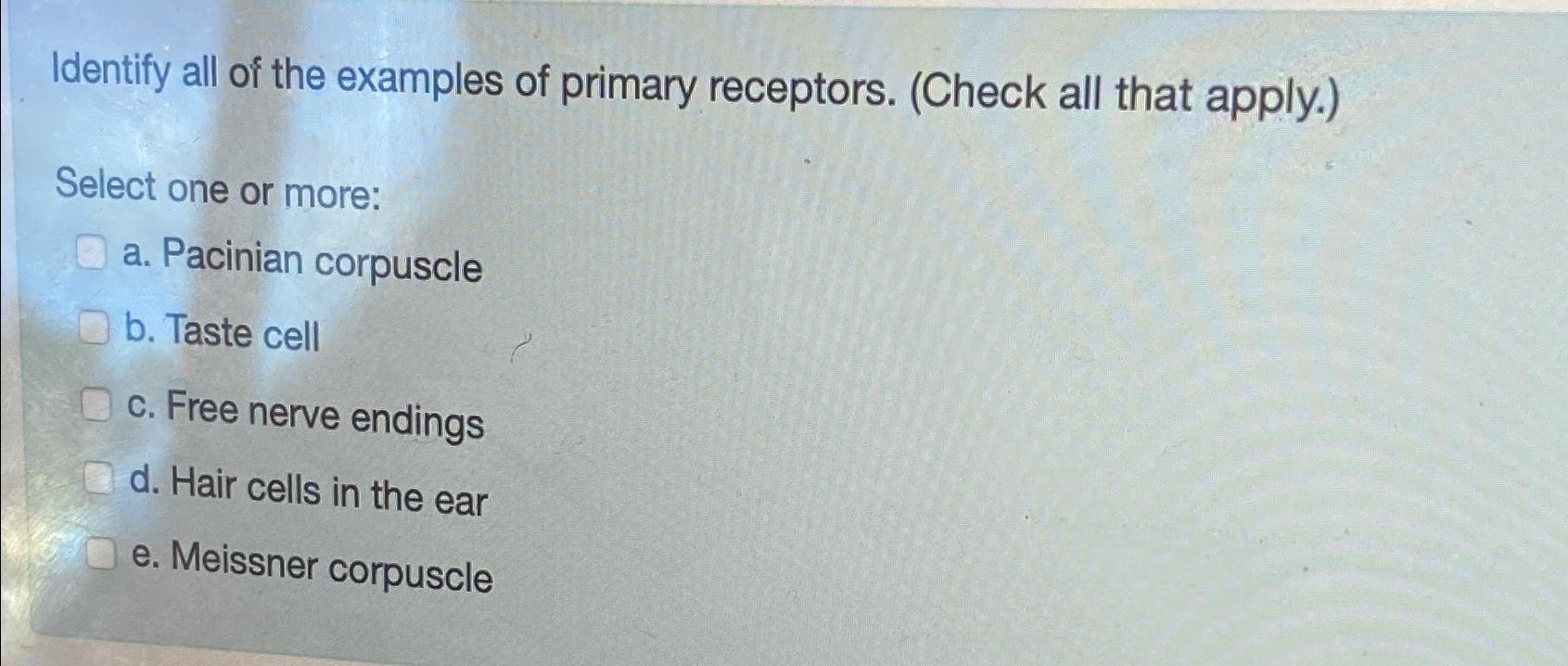 Solved Identify all of the examples of primary receptors. | Chegg.com