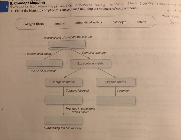 Solved at supply nutrients a B. Concept Mapping 8 Surrounded | Chegg.com