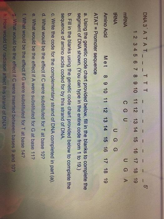 Solved DNA 3' ATAT TTT 5 1 2 3 4 5 6 7 8 9 10 11 12 13 14 15 | Chegg.com