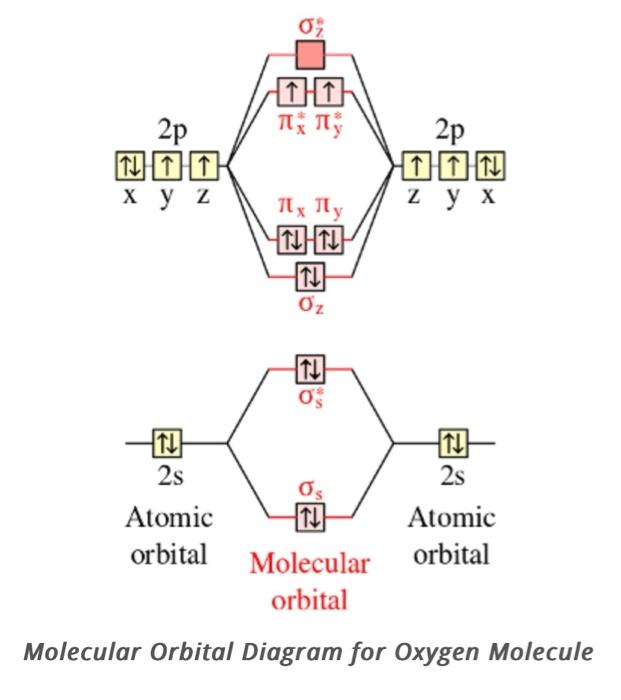 Solved in the MO diagram for oxygen, why specifically do the | Chegg.com