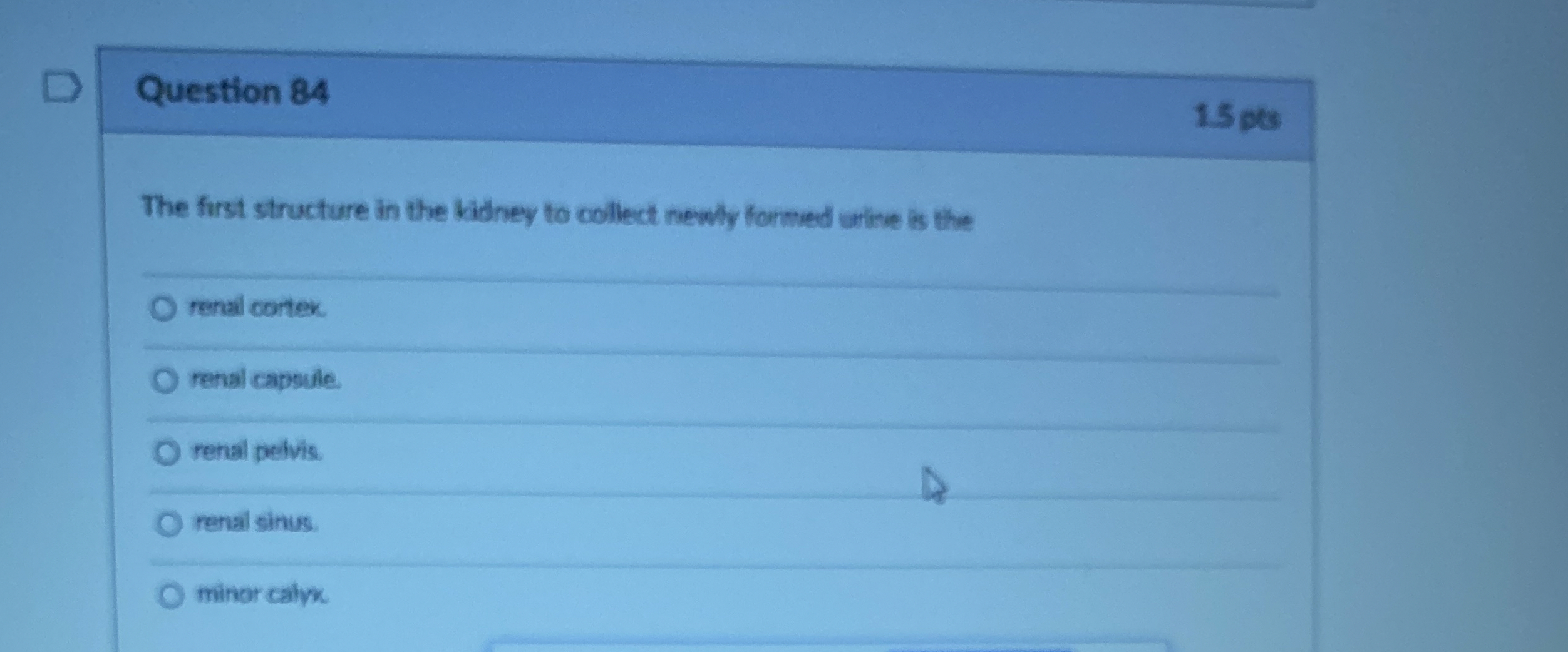 Solved Question 841.5 ﻿ptsThe first structure in the bidney | Chegg.com