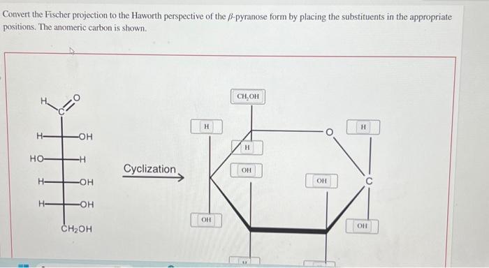 Solved Convert the Fischer projection to the Haworth | Chegg.com