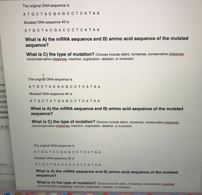 Solved The original DNA sequence is ATGCTACGAGCCTCATAA | Chegg.com