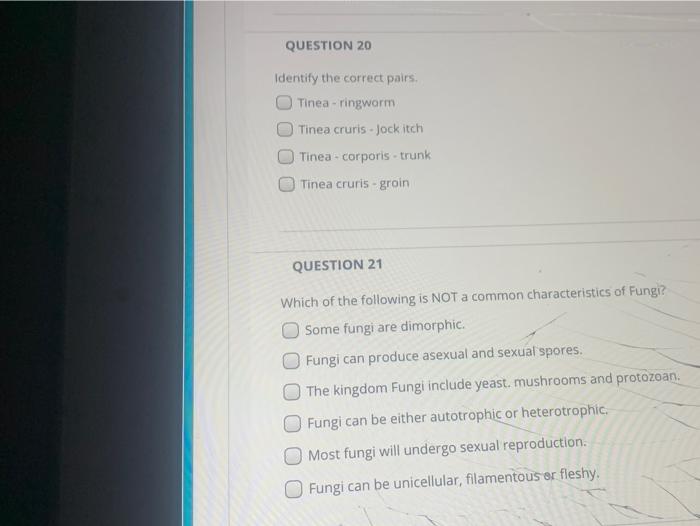 Solved QUESTION 12 Filamentous fungi are called | Chegg.com