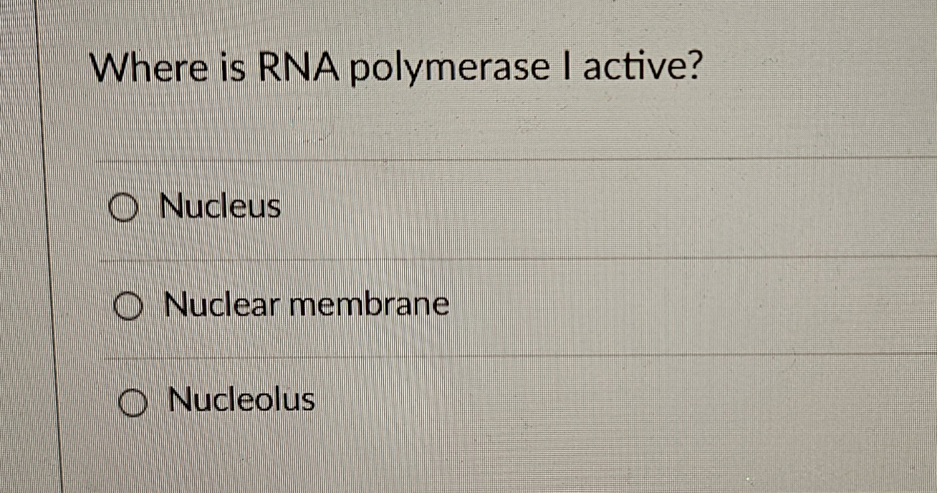 Solved Where is RNA polymerase I active?NucleusNuclear | Chegg.com