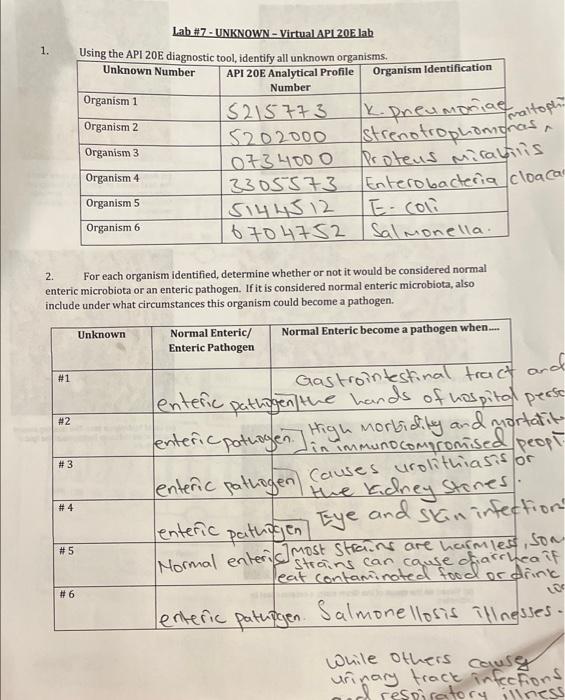 3. Using the Dichotomous Keys provided with this lab, | Chegg.com