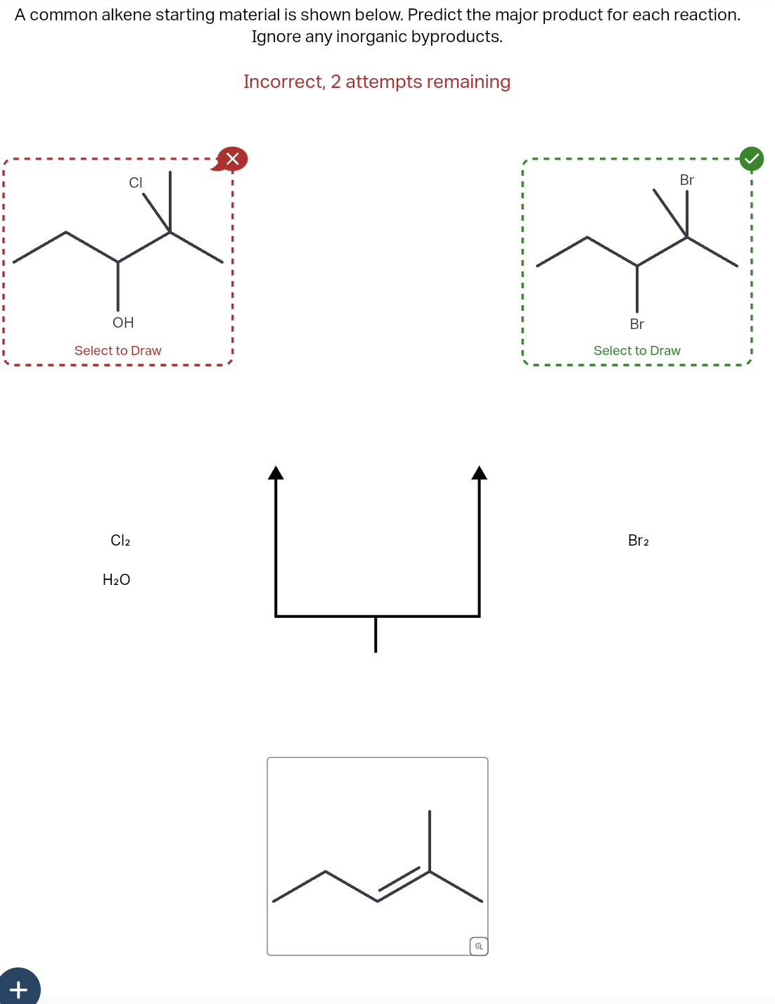 Solved A common alkene starting material is ﻿shown below. | Chegg.com