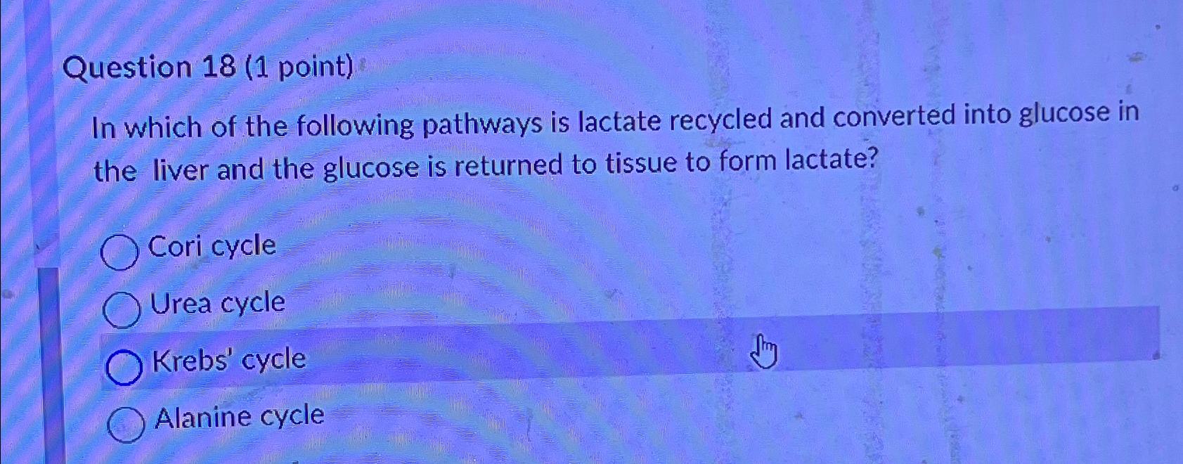 Solved Question 18 (1 ﻿point)In which of the following | Chegg.com
