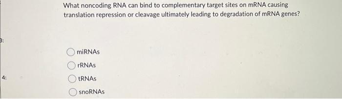 Solved What noncoding RNA can bind to complementary target | Chegg.com