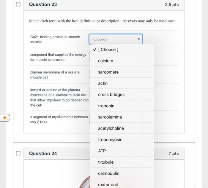 Solved Match each term with its corresponding description. | Chegg.com