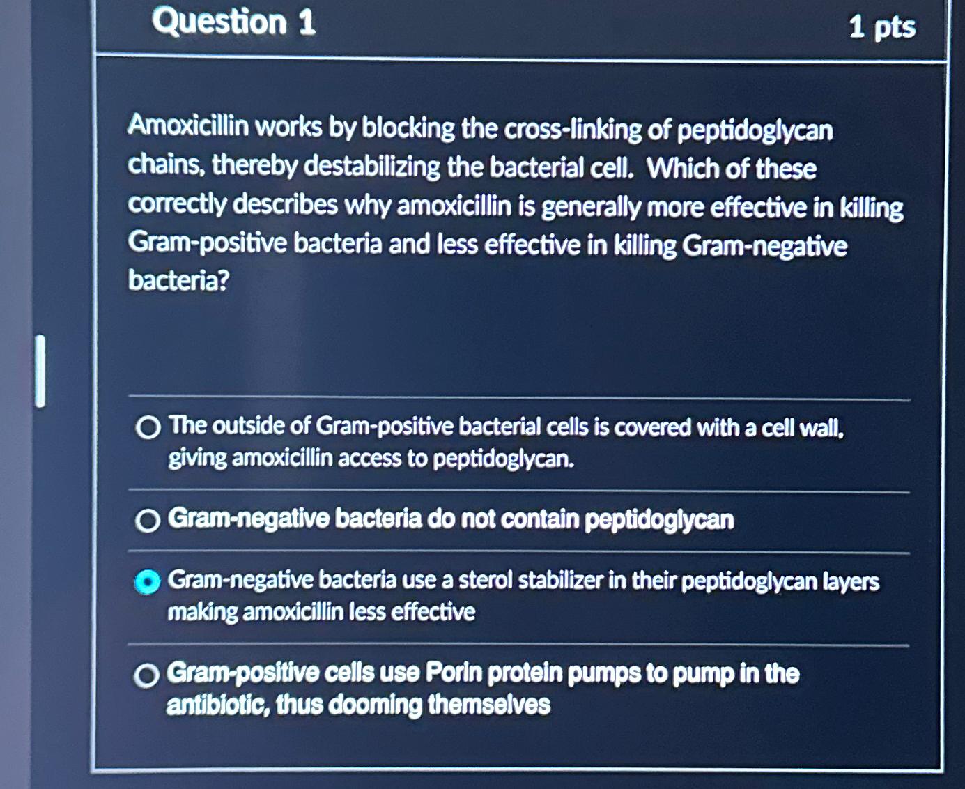 Solved Question 11 ﻿ptsAmoxicillin works by blocking the | Chegg.com