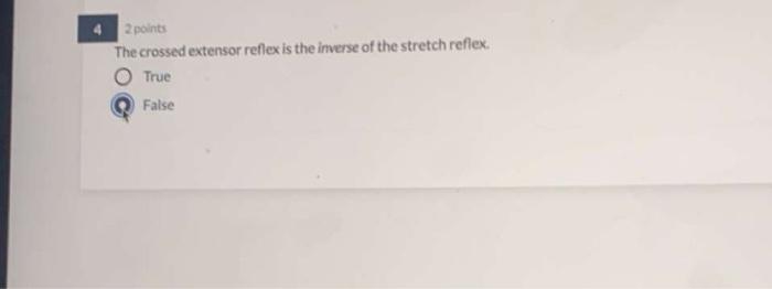 Solved 2 points The crossed extensor reflex is the inverse | Chegg.com