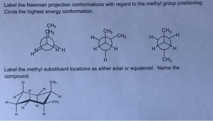 Solved Label the Newman projection conformations with regard | Chegg.com