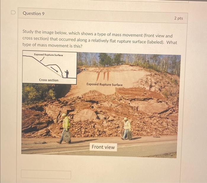 Solved Select all of the true statements below. Meandering | Chegg.com