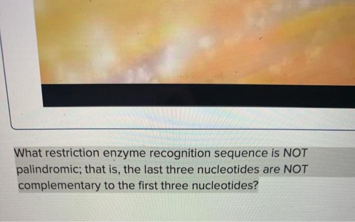 Solved What restriction enzyme recognition sequence is NOT | Chegg.com