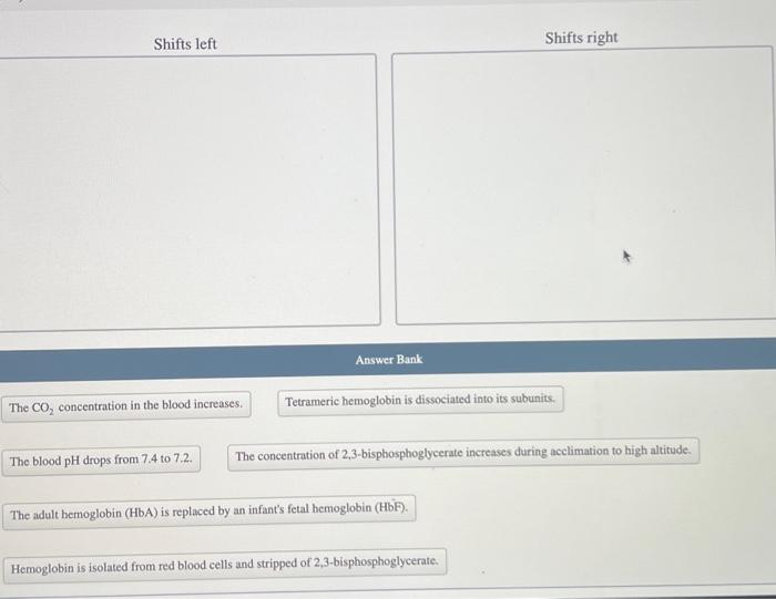 Solved The graph represents the adult hemoglobin binding | Chegg.com