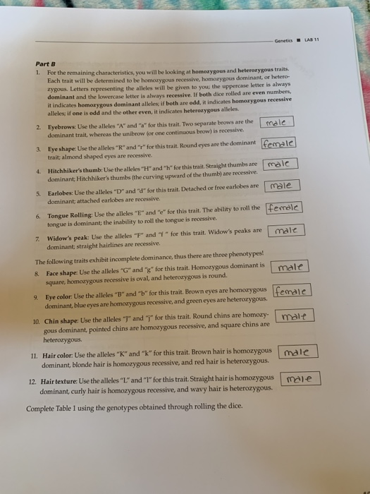 Solved Genetics LAB 11 Part B 1. For the remaining | Chegg.com