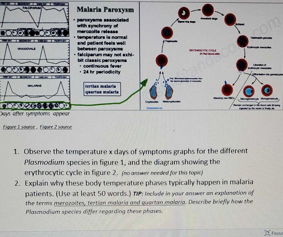 Solved INC CODE FALOPNUM down Sche HOW Malaria Paroxysm • | Chegg.com