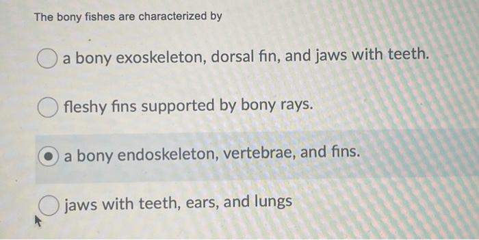 Solved The bony fishes are characterized by a bony | Chegg.com