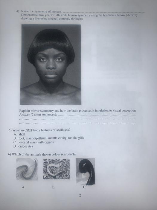 Solved 4) Name the symmetry of humans: Demonstrate how you | Chegg.com