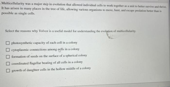 Solved Multicellularity was a major step in evolution that | Chegg.com
