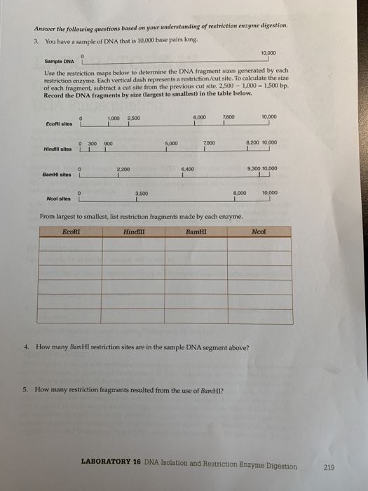 Solved Answer the following questions based on your | Chegg.com