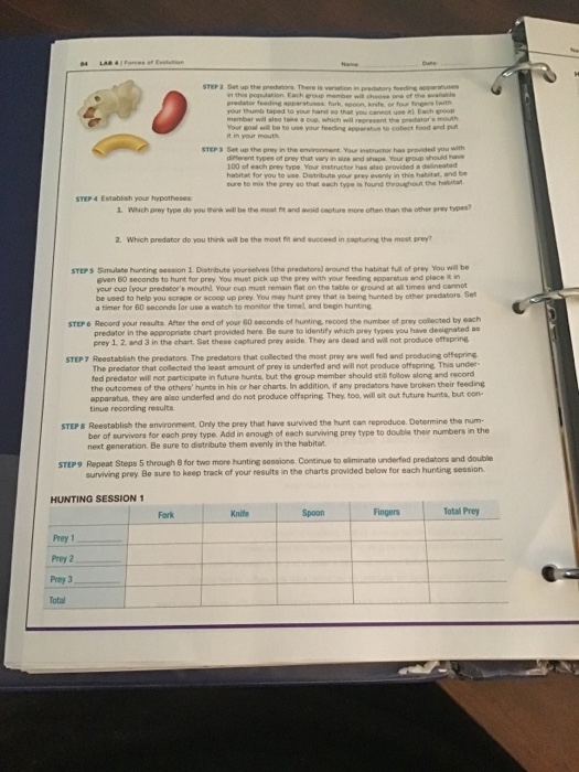 4 STEP 2 Set up the predo There is waition in predar | Chegg.com