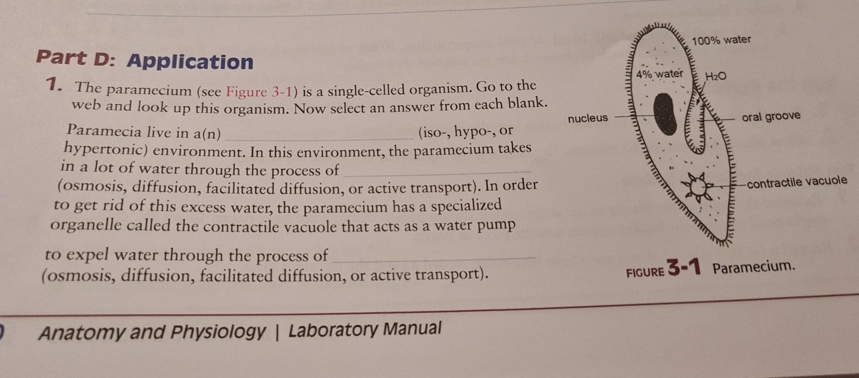 Solved 100% water 4% water H2O nucleus oral groove Part D: | Chegg.com