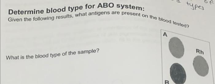 Solved Determine blood type for ABO system: Given the | Chegg.com