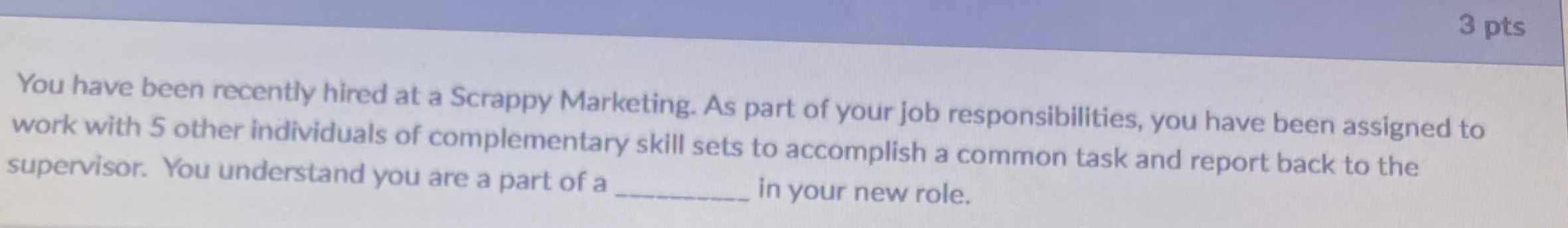 Solved 3 ﻿ptsYou have been recently hired at a Scrappy | Chegg.com