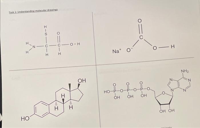 Solved Tasks: 1. Understanding molecular drawings There are | Chegg.com
