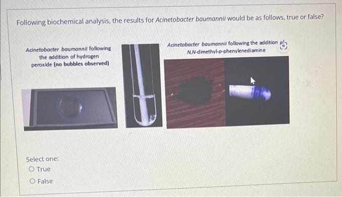Solved Following biochemical analysis, the results for | Chegg.com
