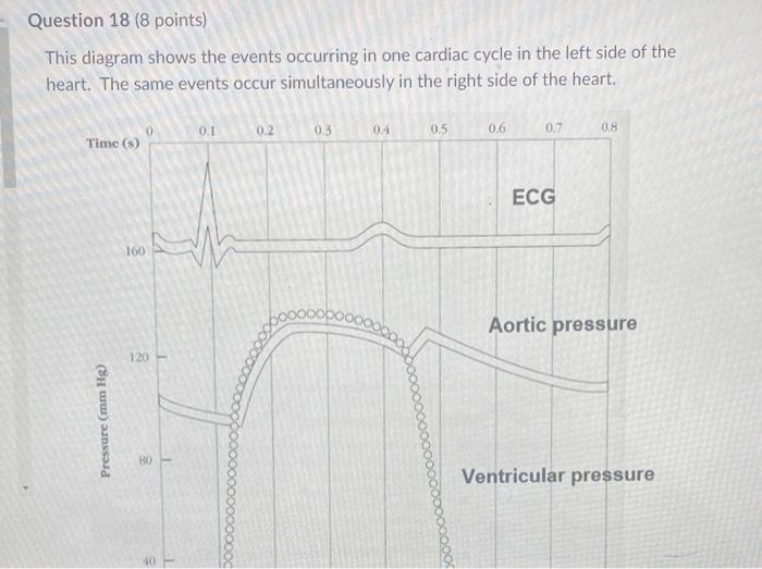 Solved This diagram shows the events occurring in one | Chegg.com