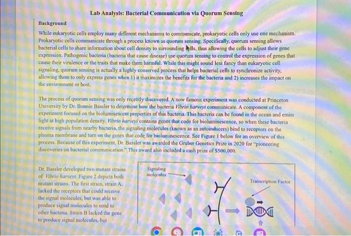 Lab Analysis: Bacterial Communication via Quorum | Chegg.com Lab Analysis: Bacterial Communication via Quorum | Chegg.com