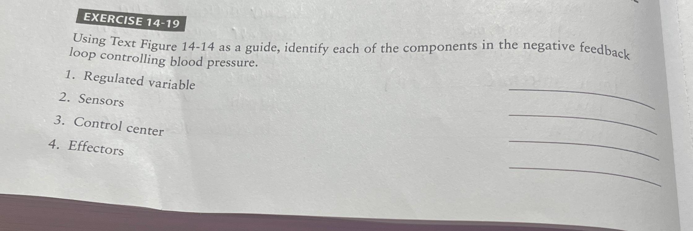 Solved EXERCISE 14-19Using Text Figure 14-14 ﻿as a guide, | Chegg.com