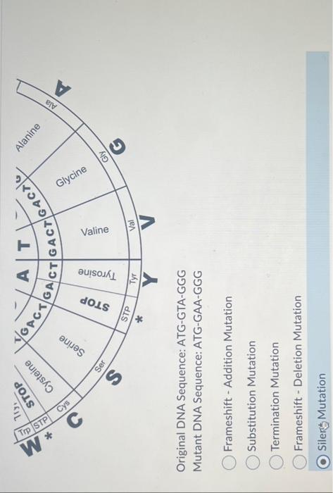 Solved Identify which type of mutation this DNA change is, | Chegg.com