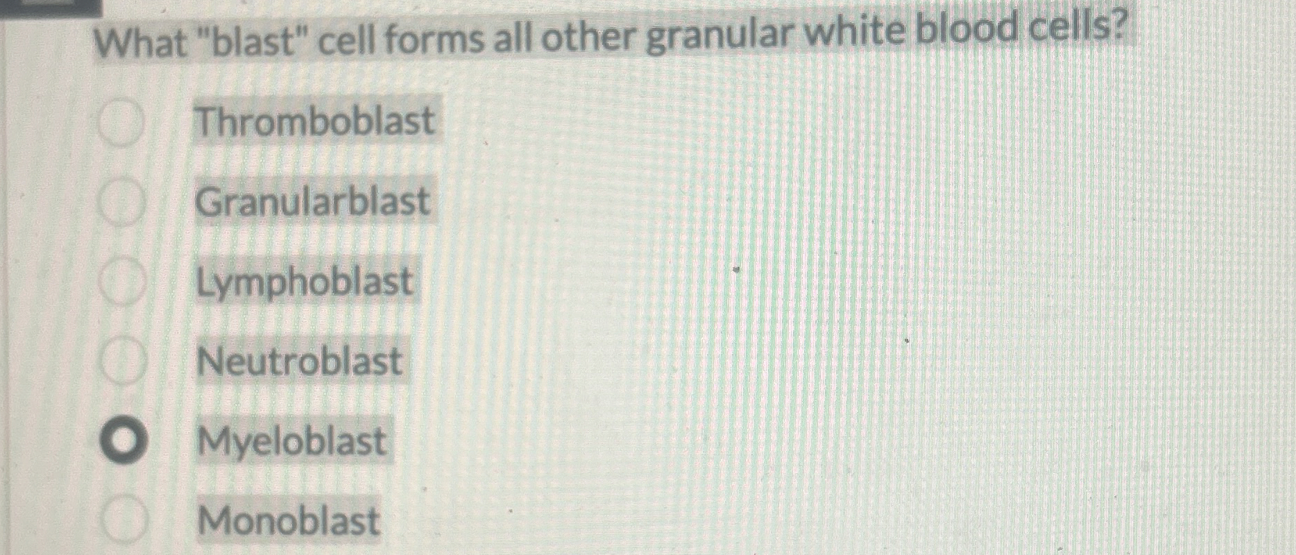 Solved What "blast" cell forms all other granular white | Chegg.com