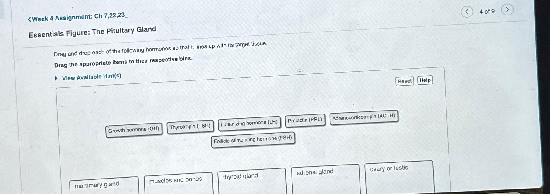 Solved Essentials figure: the pituitary glad Drag and drop | Chegg.com