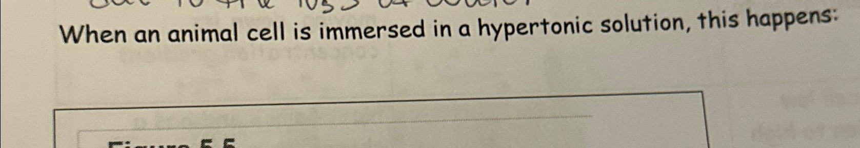 Solved When an animal cell is immersed in a hypertonic | Chegg.com