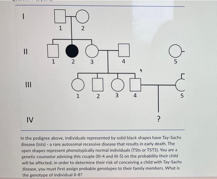 Solved In the pedigree above, individuals represented by | Chegg.com