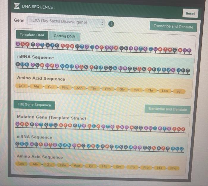 Solved View previous attempt Mutation: Tay Sachs mutation | Chegg.com