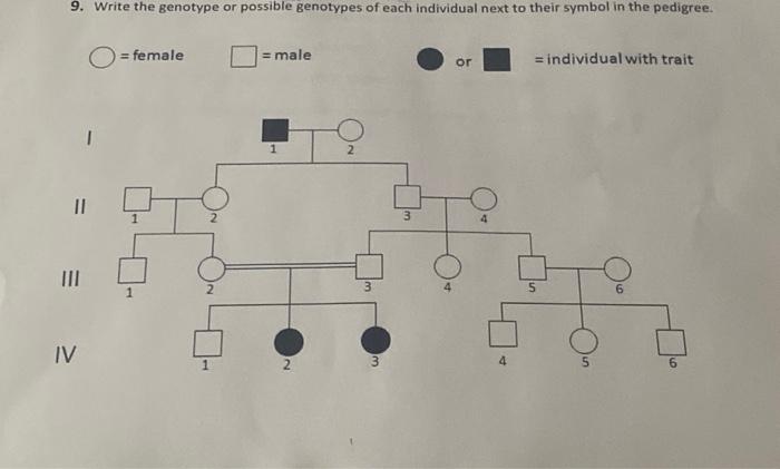 Solved 9. Write the genotype or possible genotypes of each | Chegg.com