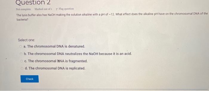 The lysis buffer contains a detergent called sodium | Chegg.com