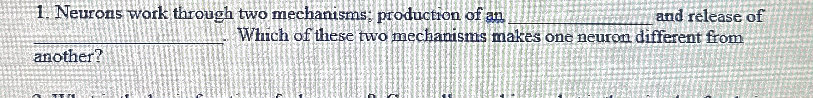 Solved Neurons work through two mechanisms; production of an | Chegg.com