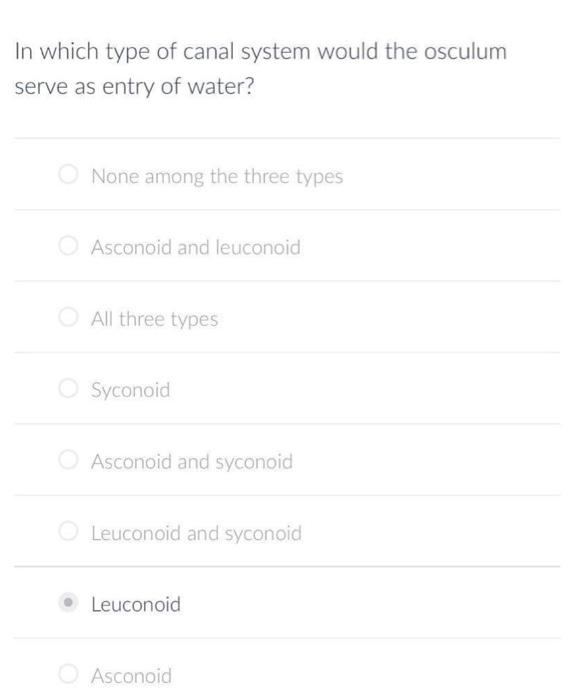 Solved In which type of canal system would the osculum serve | Chegg.com