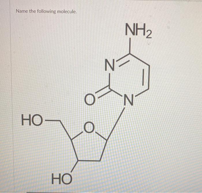 Solved Name the following molecule. NH2 NP N HO- НО | Chegg.com