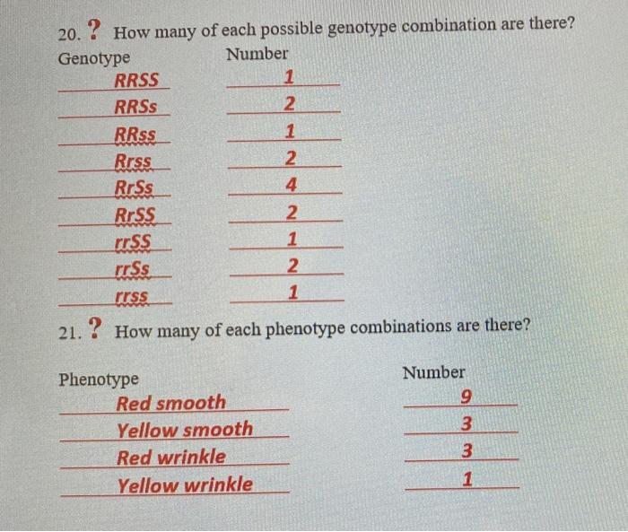 20. ? How many of each possible genotype combination | Chegg.com