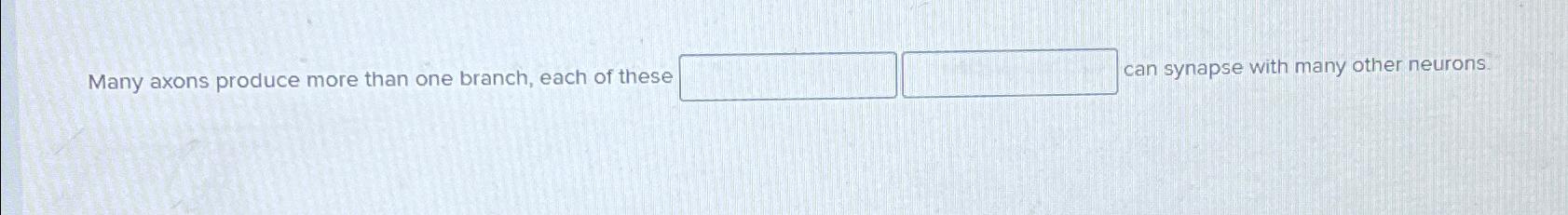 Solved Many axons produce more than one branch, each of | Chegg.com